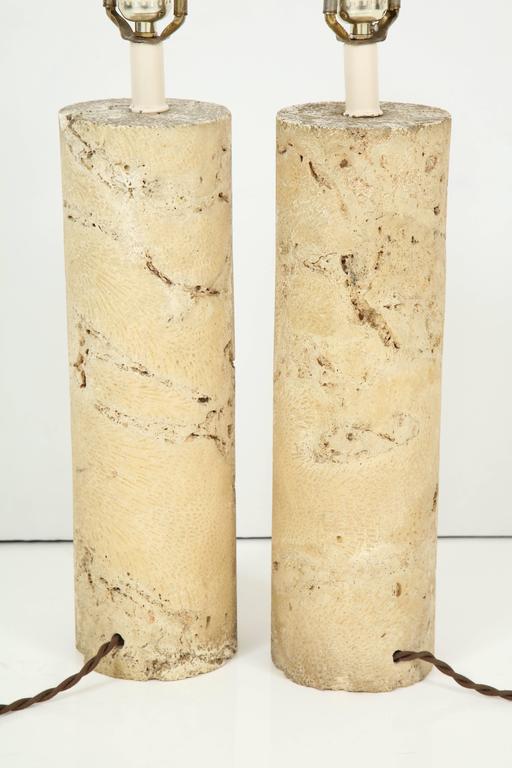 Pair of Fossil Coral Lamps at 1stDibs | fossil lamps osrs