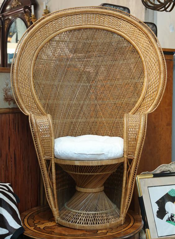 "Emmanuel" Peacock Chair at 1stDibs | emmanuel chair, emmanuelle ...