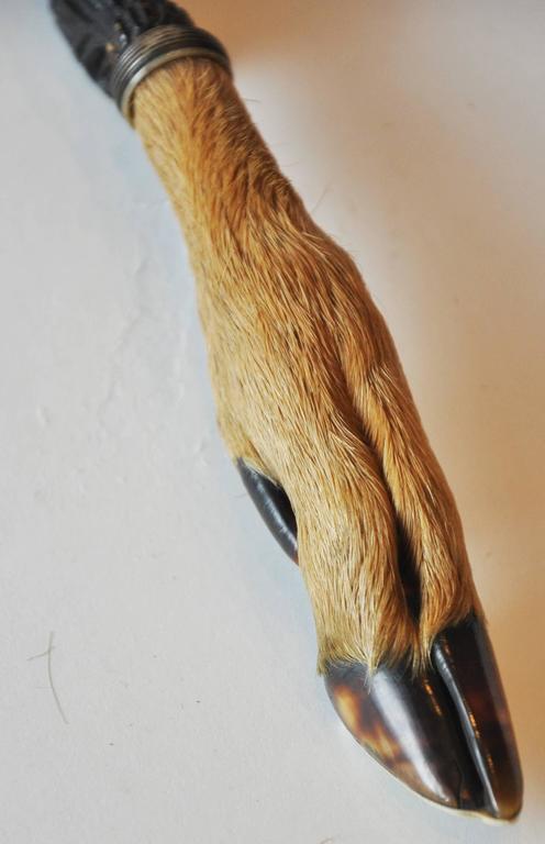 19th Century Black Forest Stag Hoof Letter Opener from Bavaria at 1stDibs