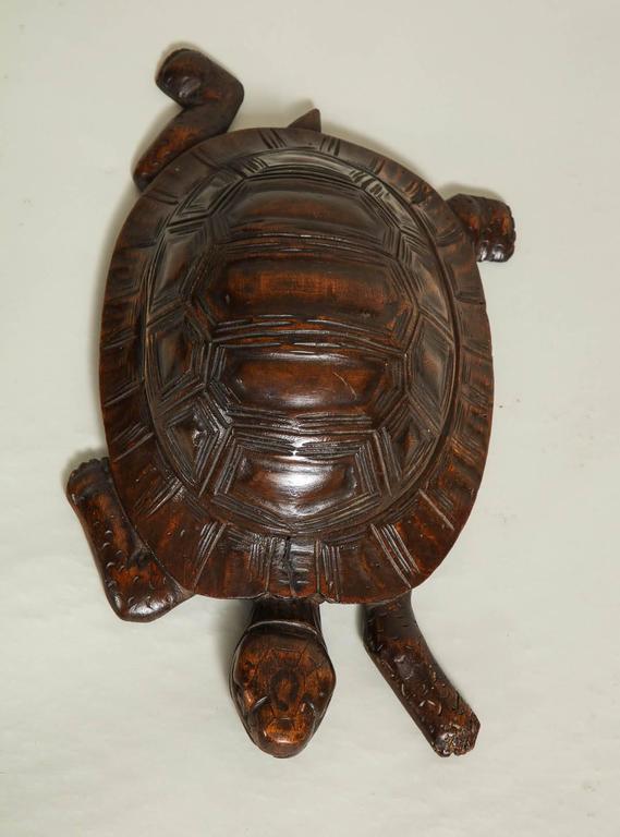 Box Turtle Box For Sale at 1stDibs