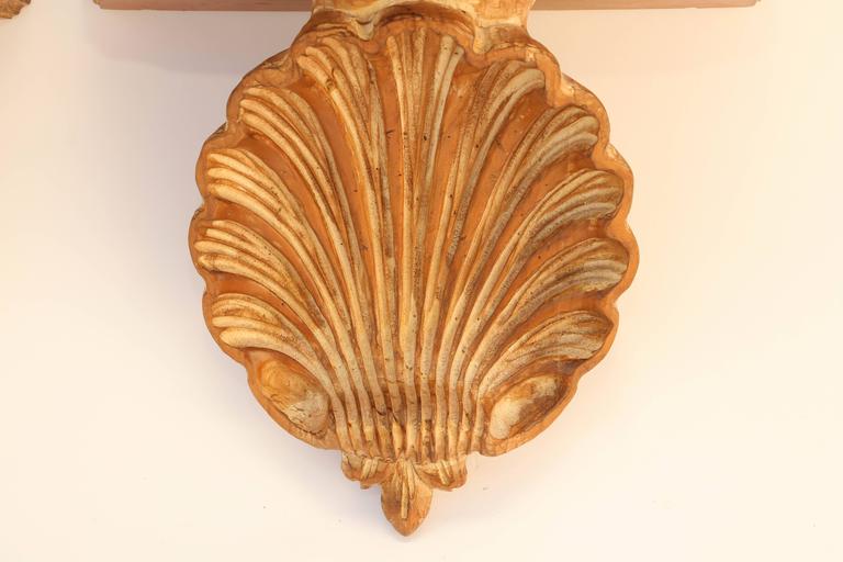 Pair of Scallop Shell Wall Shelves at 1stDibs