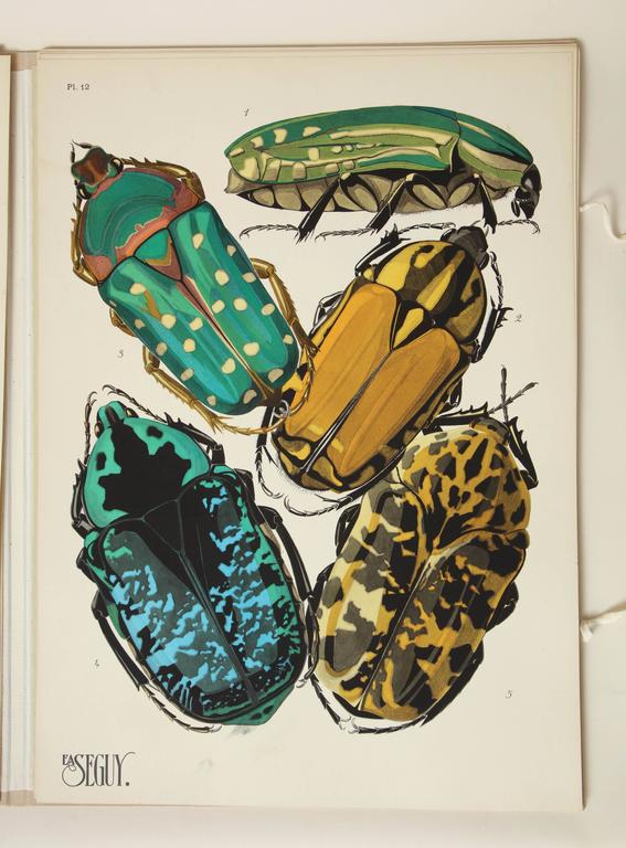 'Insectes' by E.A. Seguy at 1stDibs