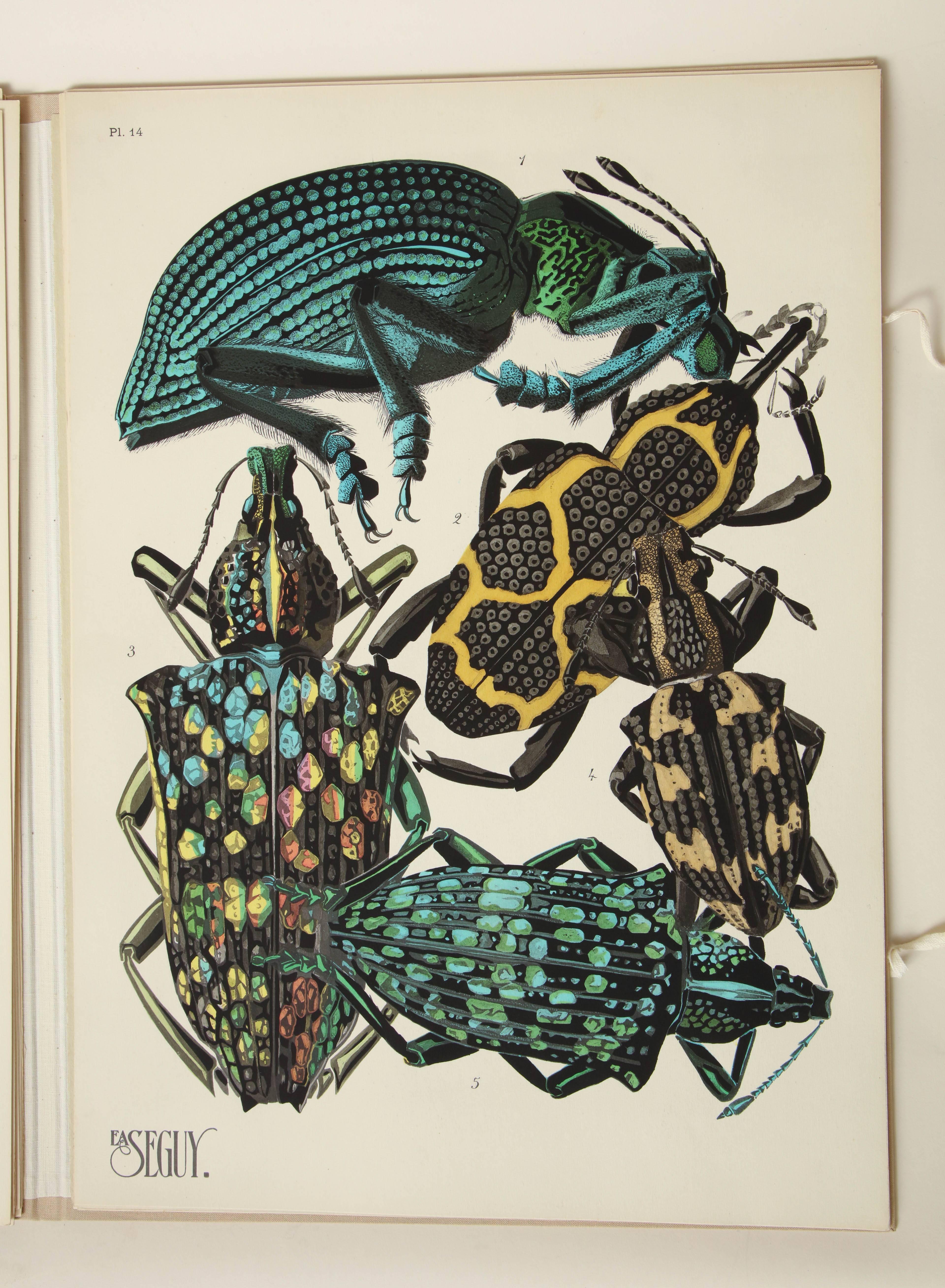 'Insectes' by E.A. Seguy at 1stDibs