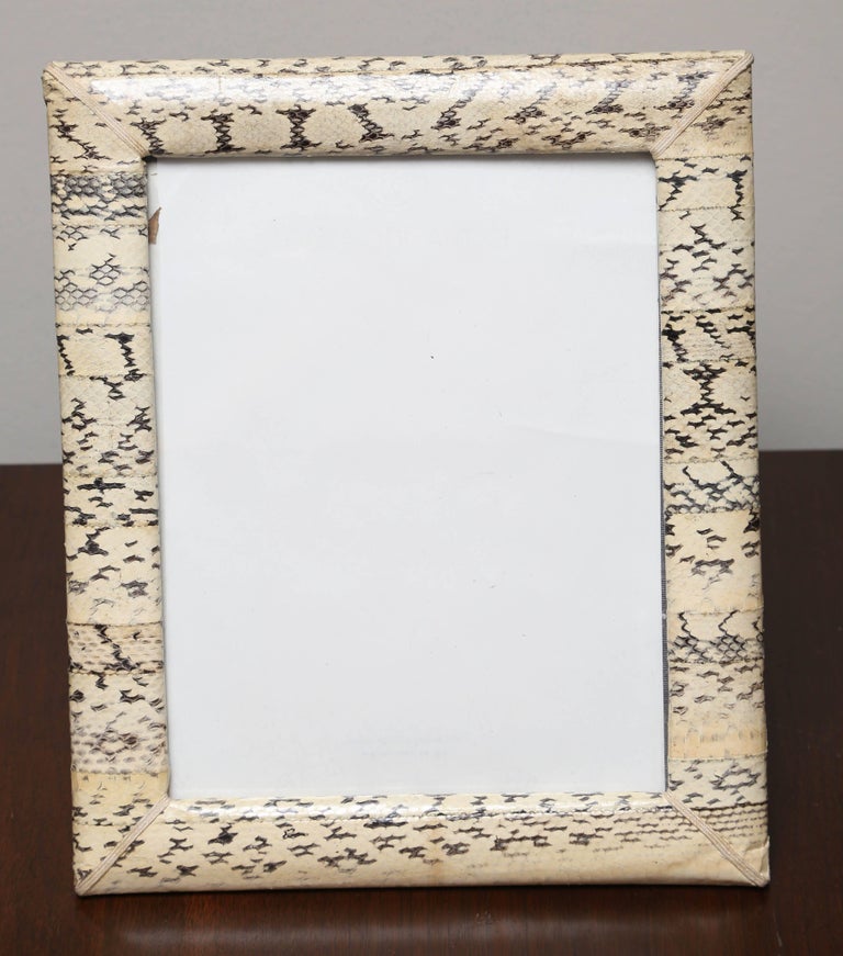 Vintage Snakeskin Picture Frame at 1stDibs