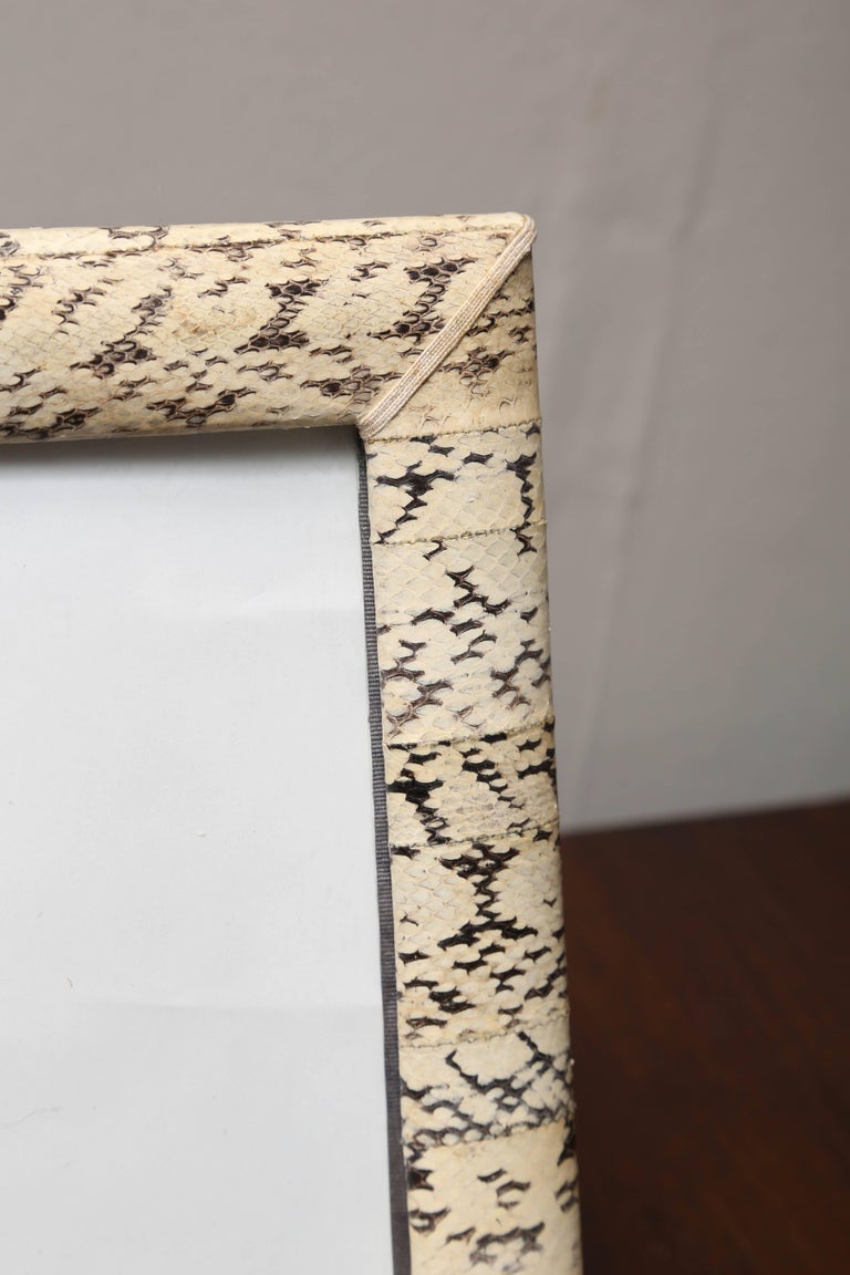 Vintage Snakeskin Picture Frame at 1stDibs