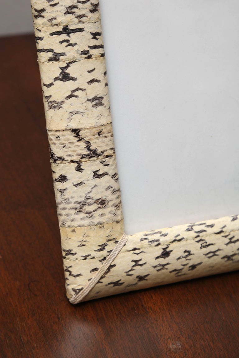 Vintage Snakeskin Picture Frame at 1stDibs