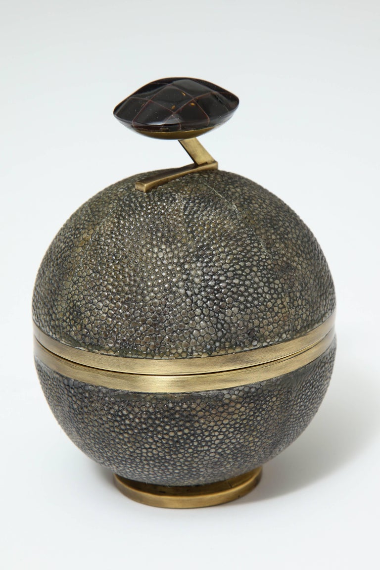 Shagreen Box With Bronze Details at 1stDibs