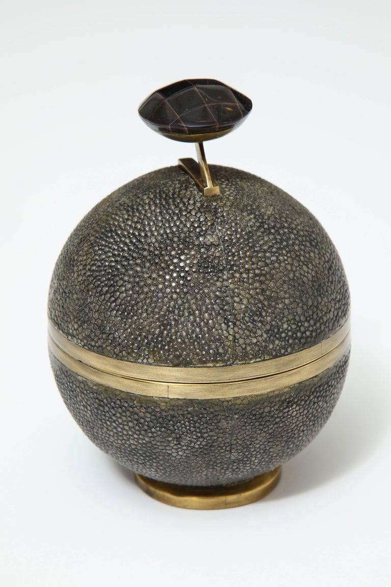 Shagreen Box With Bronze Details at 1stDibs