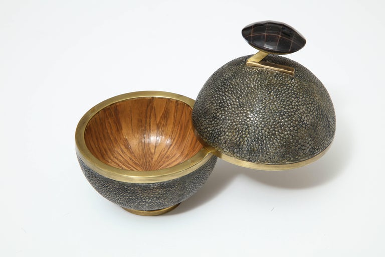 Shagreen Box With Bronze Details at 1stDibs