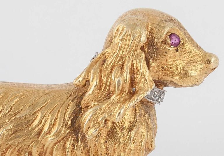 Ruby Diamond Gold Spaniel Dog Brooch For Sale at 1stDibs