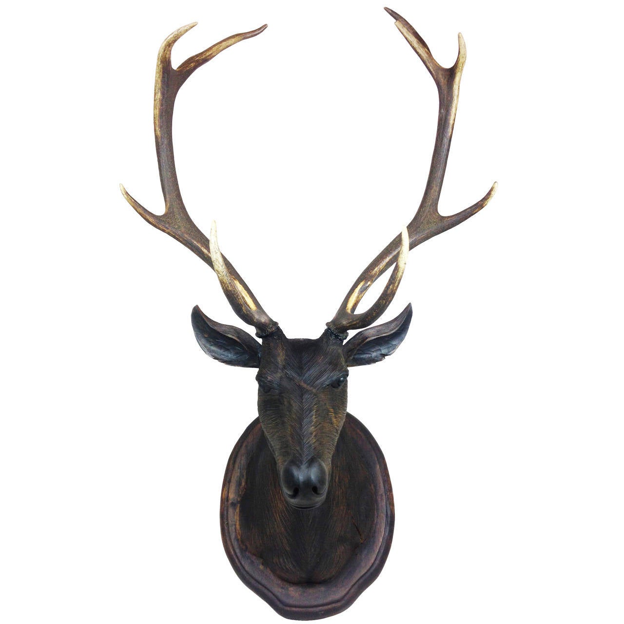 Full-Sized Black Forest Style Stag Head with Antlers at 1stDibs