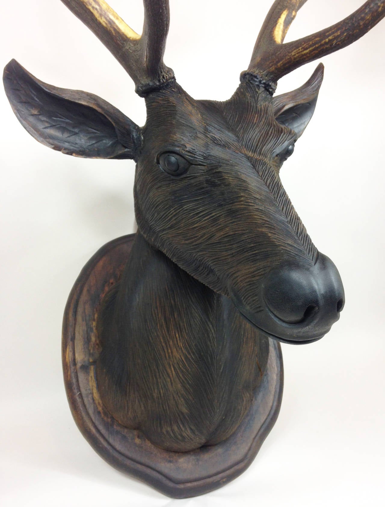 Full-Sized Black Forest Style Stag Head with Antlers at 1stDibs