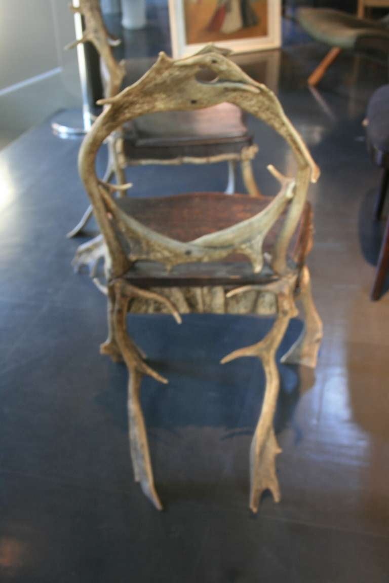 Early 19th Century French Antler Chairs at 1stDibs