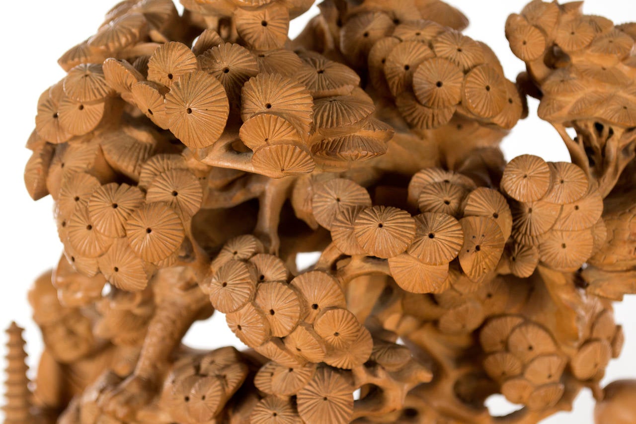 Chinese Boxwood Sculpture Depicting the Eighteen Lohan at 1stDibs