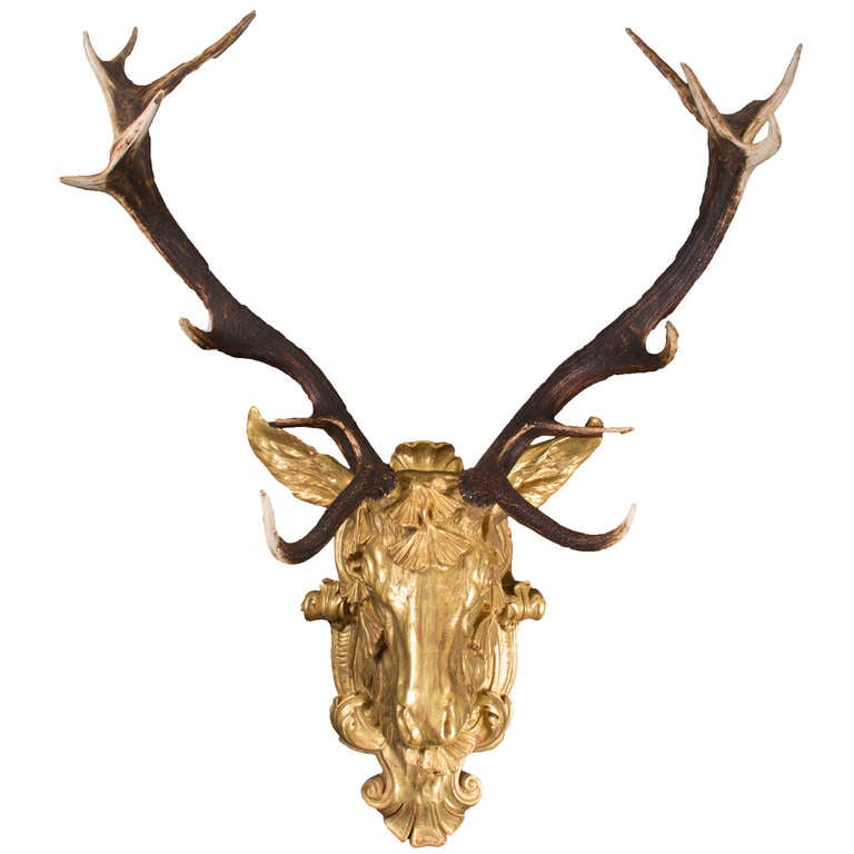 Red Deer Antlers Mounted on Gilt Stag's Head at 1stDibs | staghead designs