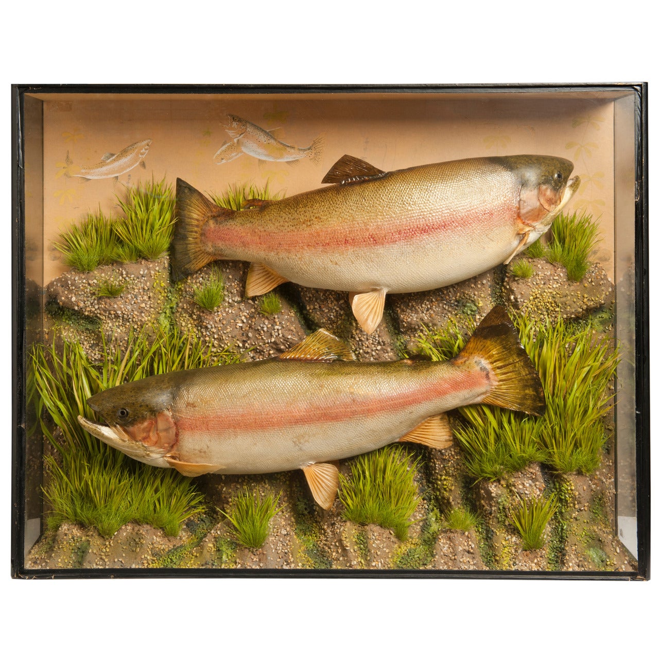 Pair of Salmon Trout circa 1900 at 1stDibs