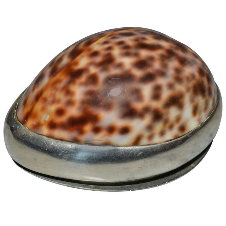 19th Century Empire Conch Shell and Silver Tobacco Box at 1stDibs