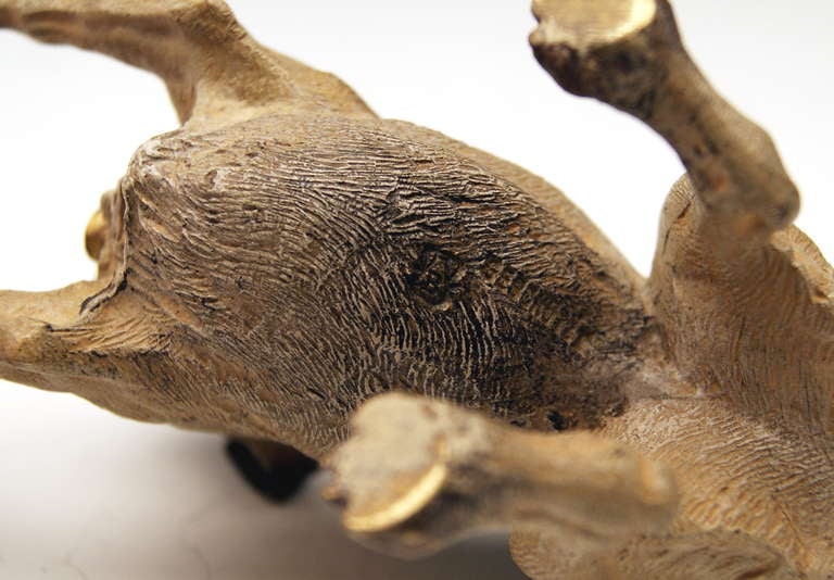 Vienna Bronze Made By Franz Bergman(n) Pug Snarling Animal Bronze Circa ...