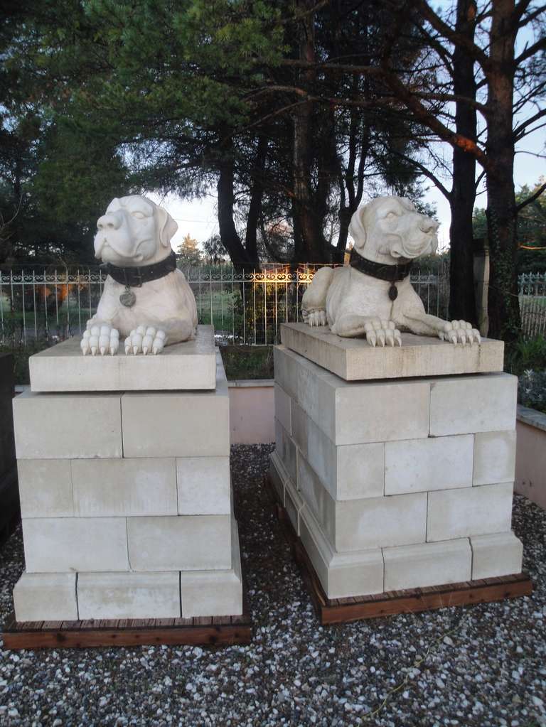 Handed Pair of Cast Stone Roman Dogs on Plinths For Sale at 1stDibs