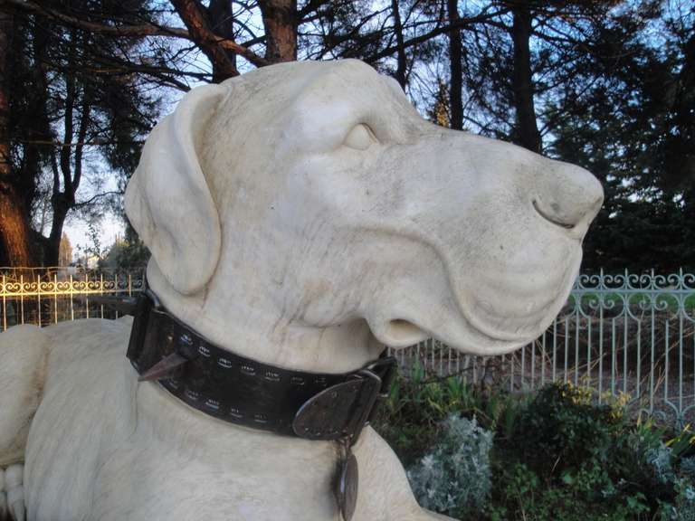 Handed Pair of Cast Stone Roman Dogs on Plinths For Sale at 1stDibs