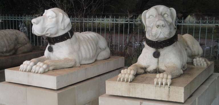 Handed Pair of Cast Stone Roman Dogs on Plinths For Sale at 1stDibs