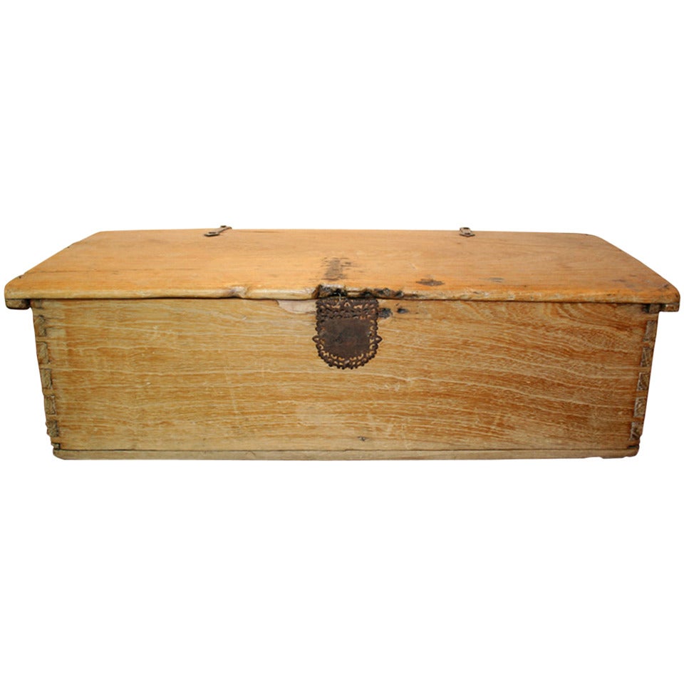 Sabino 19th Century Mexican Trunk For Sale at 1stDibs