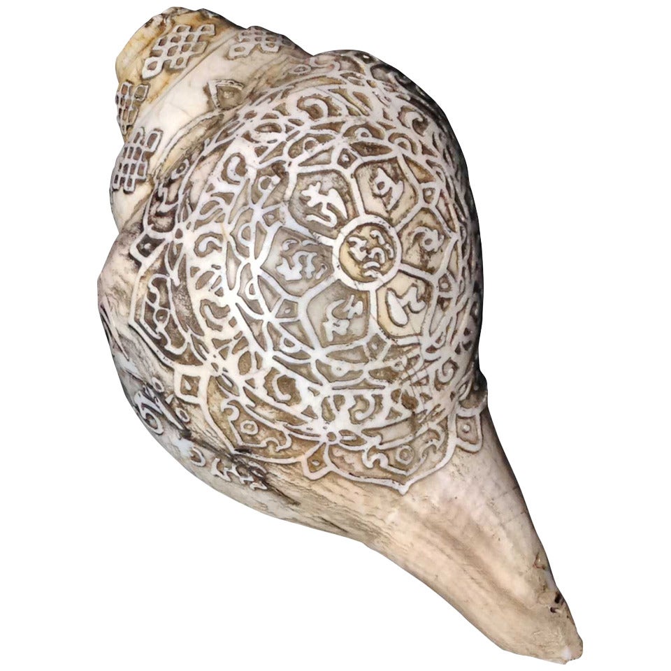 Carved Sea Shell from Tibet also known as Dung-Dkar at 1stDibs