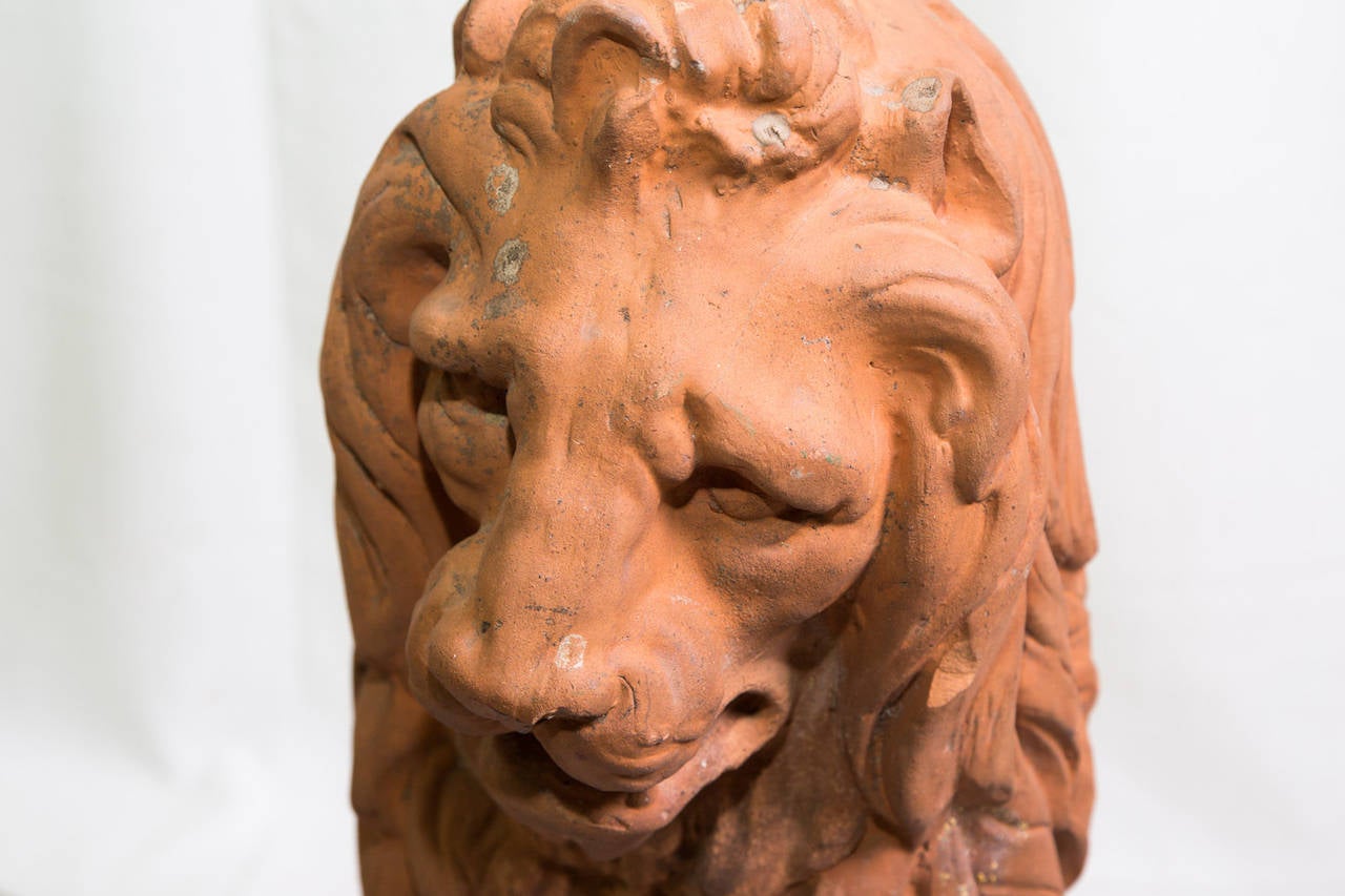 19th Century Pair of Terracotta Italian Lion Sculptures at 1stDibs