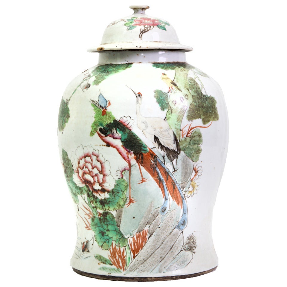 19th Century Chinese Potiche, Famille Rose For Sale at 1stDibs