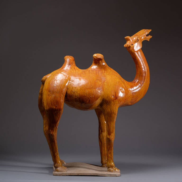 Ancient Chinese Tang Dynasty Glazed Pottery, Bactrian Camel at 1stDibs