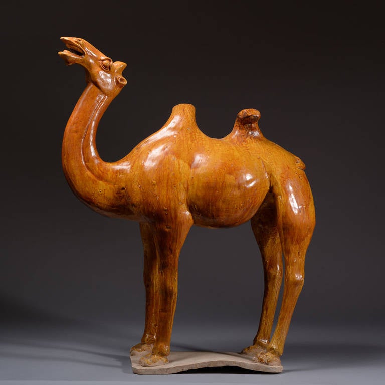 Ancient Chinese Tang Dynasty Glazed Pottery, Bactrian Camel at 1stDibs