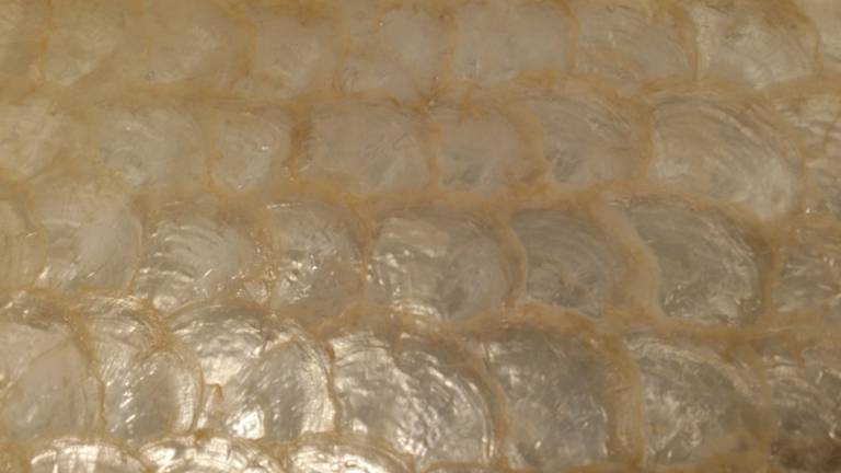 Harvey Probber Capiz Shell, Brass and Cane Cocktail Table at 1stDibs