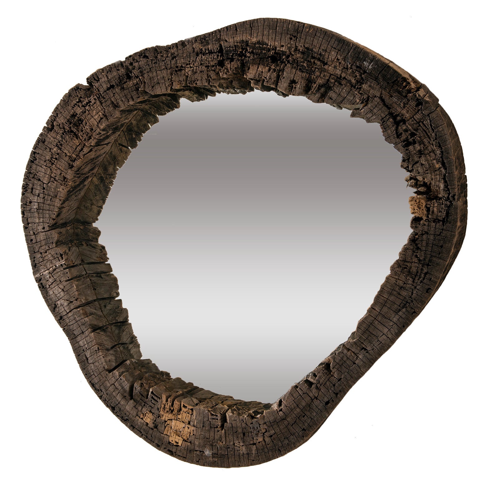 Mud Mirror Made Out of a Very Large, Hollowed-Out Trunk For Sale at 1stDibs