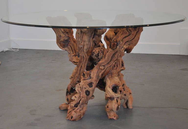 Cypress Root Dining Table with Glass Top, 1950s at 1stDibs