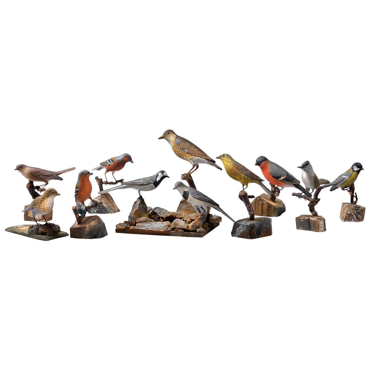 Rare Collection of 19th Century Didactical Carved and Painted Wood Bird ...