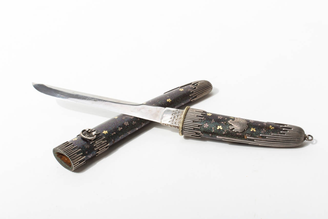 Excessivly Decorated Anonym Meiji Period Aikuchi Tanto with Rich Maik-E ...