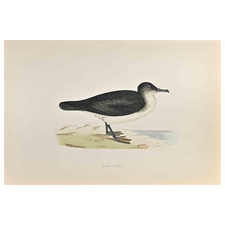 Alexander Francis Lydon - Dusky Petrel - Woodcut Print by Alexander ...