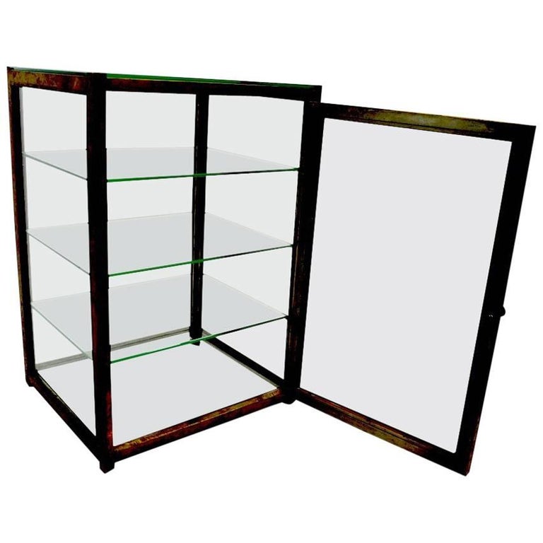 Brass and Glass Specimen Display Showcase at 1stDibs