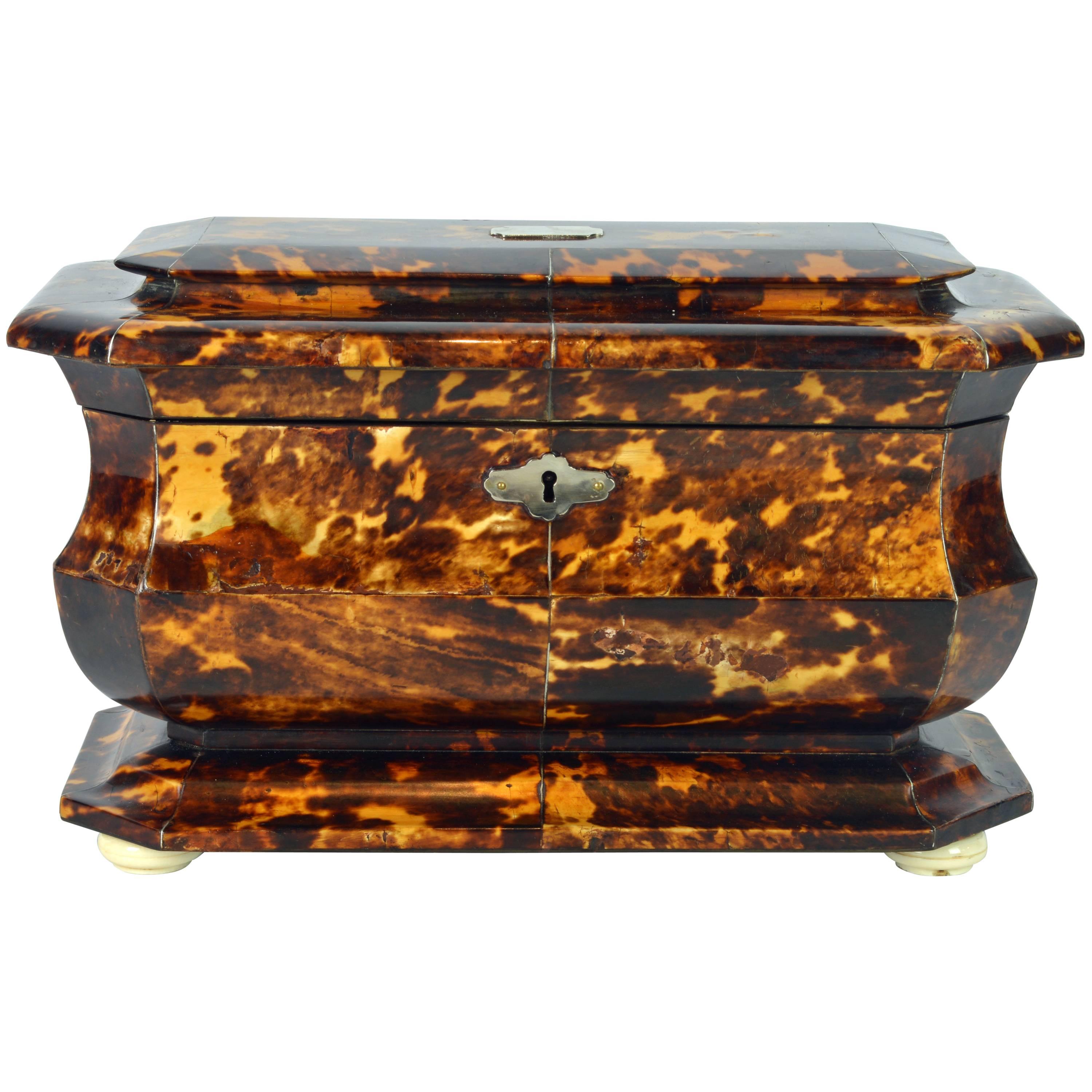 Superior 19th Century English Georgian Tortoise Shell Tea Caddy on ...