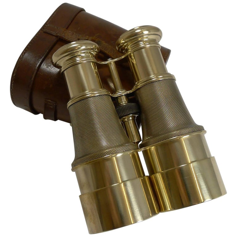 Pair of WW1 Binoculars and Case, British Officer's Issue, 1918, Signed ...