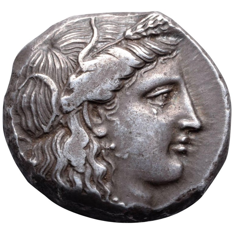 Ancient Greek Attic Black Figure Pottery Lekythos, 490 BC at 1stdibs