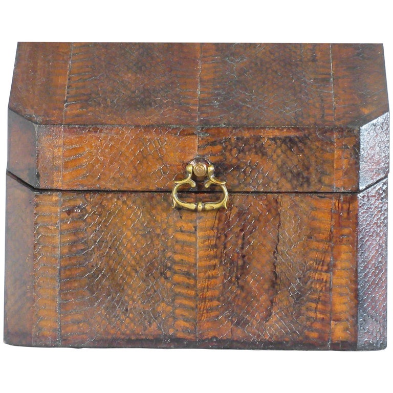 1960s Snakeskin Box For Sale at 1stDibs