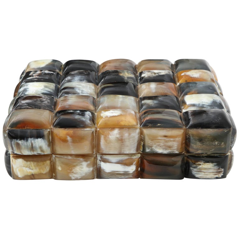 Polished Buffalo Horn Box at 1stDibs