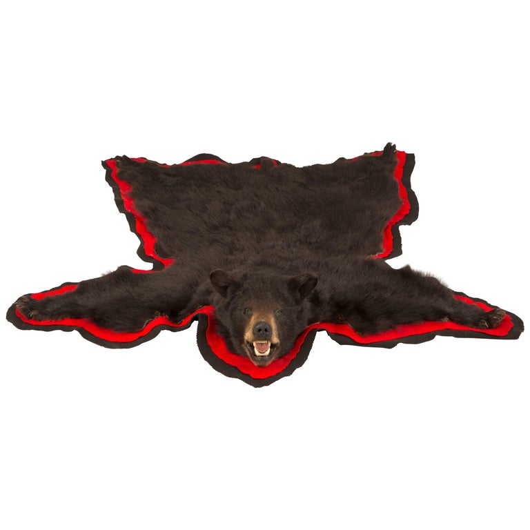 Antique Registered Taxidermy Tiger Rug Prior to Endangered ...