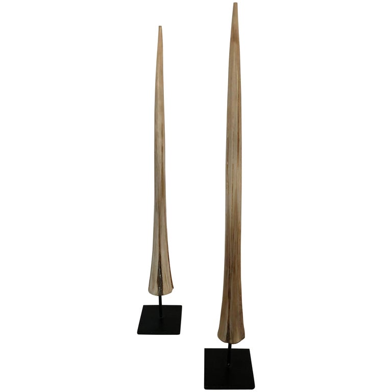 Marlin Bills Mounted on Stands For Sale at 1stDibs