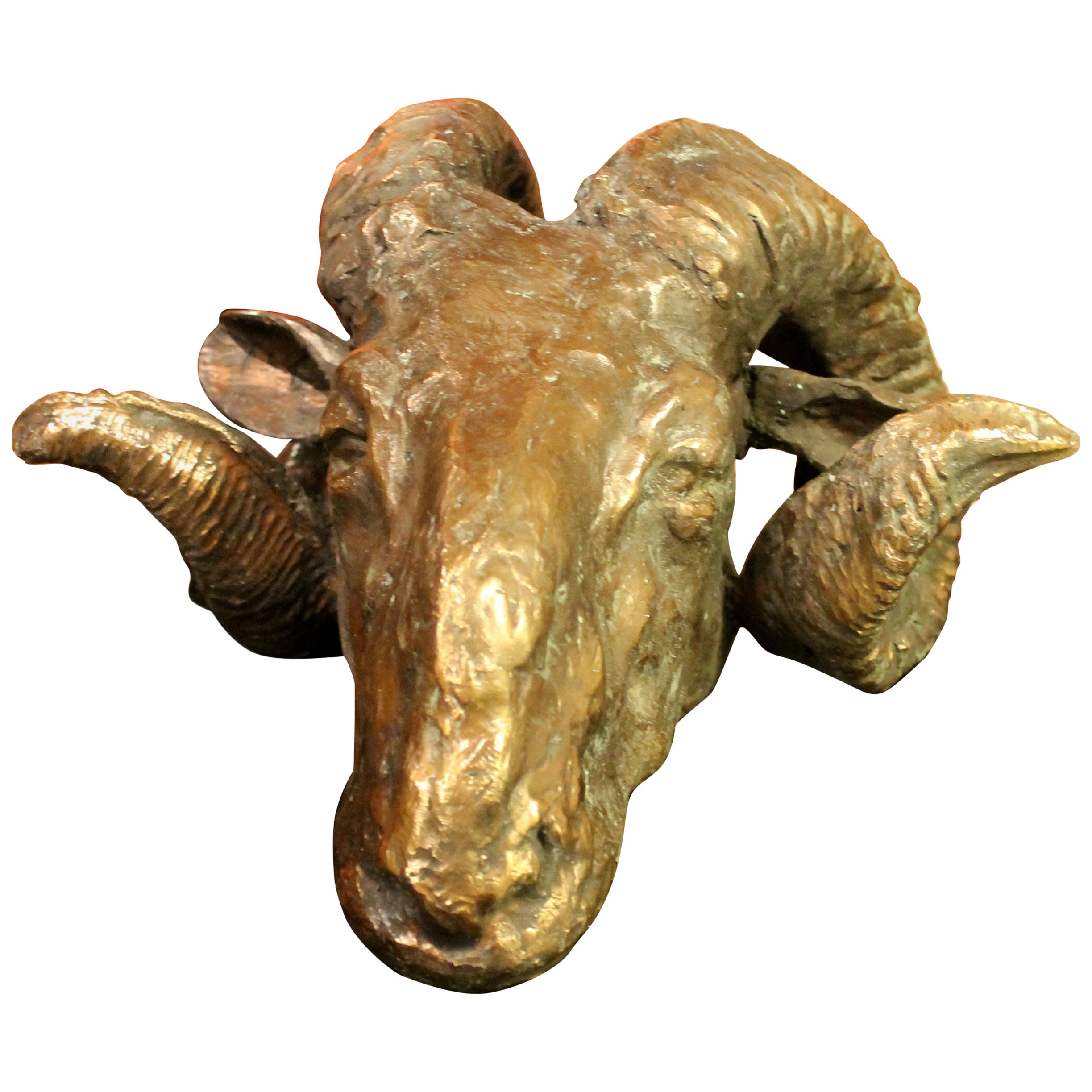 Bronze Cast of Rams Head at 1stDibs