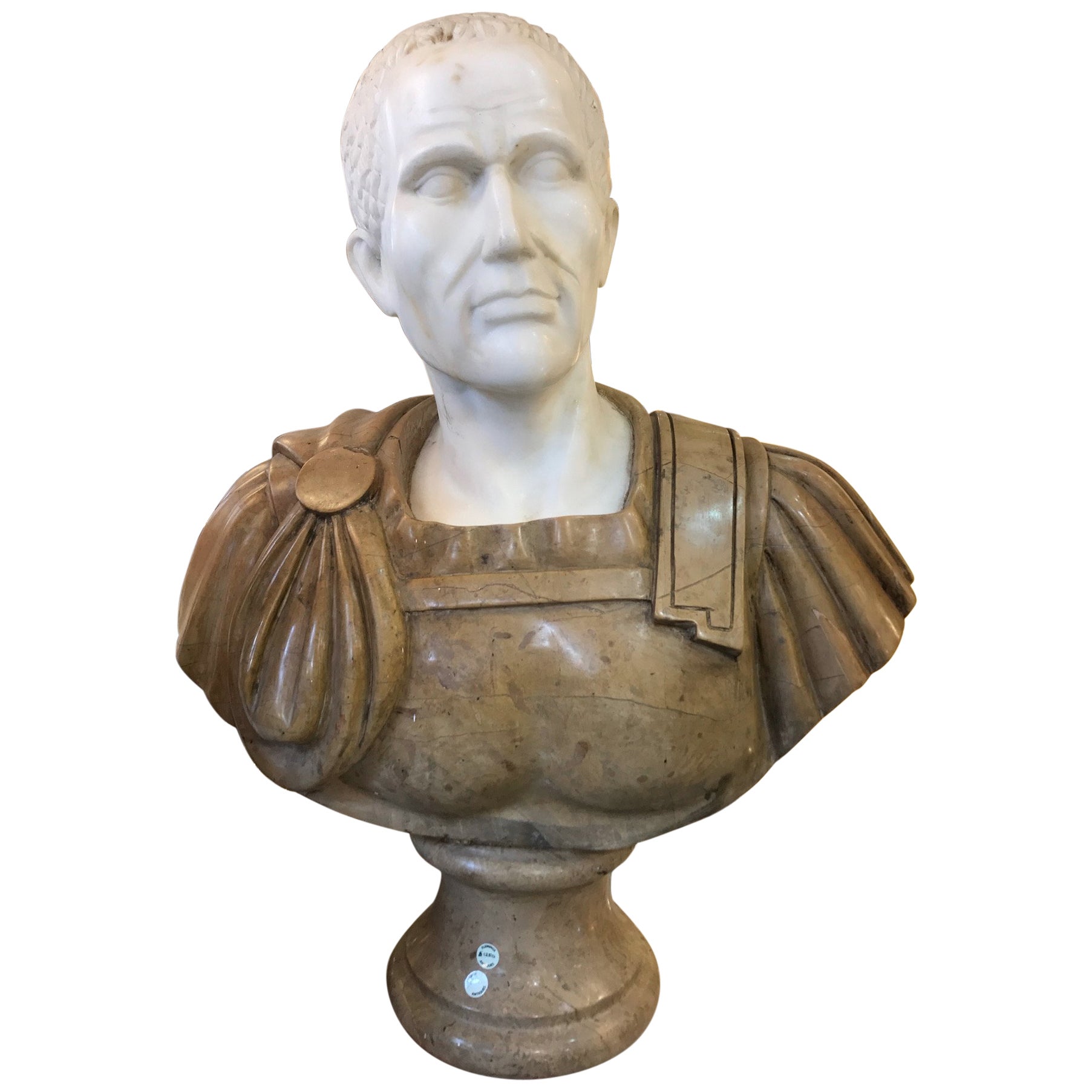 Tiberius Roman Senator Marble Bust, 20th Century For Sale at 1stDibs