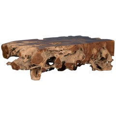 Cypress Root Coffee Table at 1stdibs