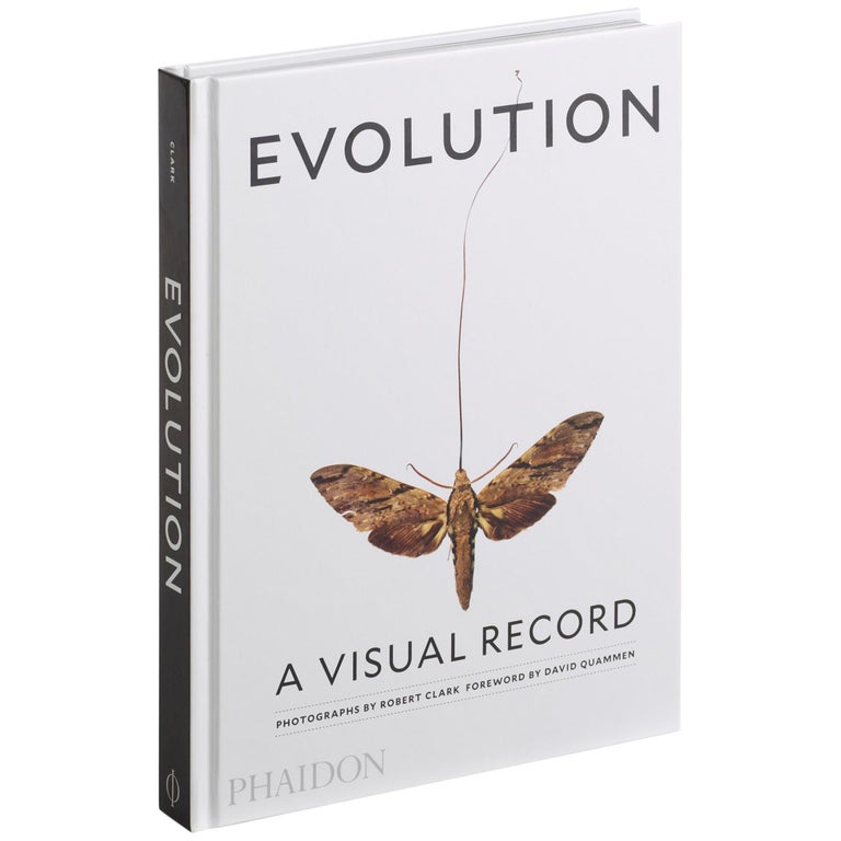 Visual Games by Bruno Munari for Danese at 1stdibs