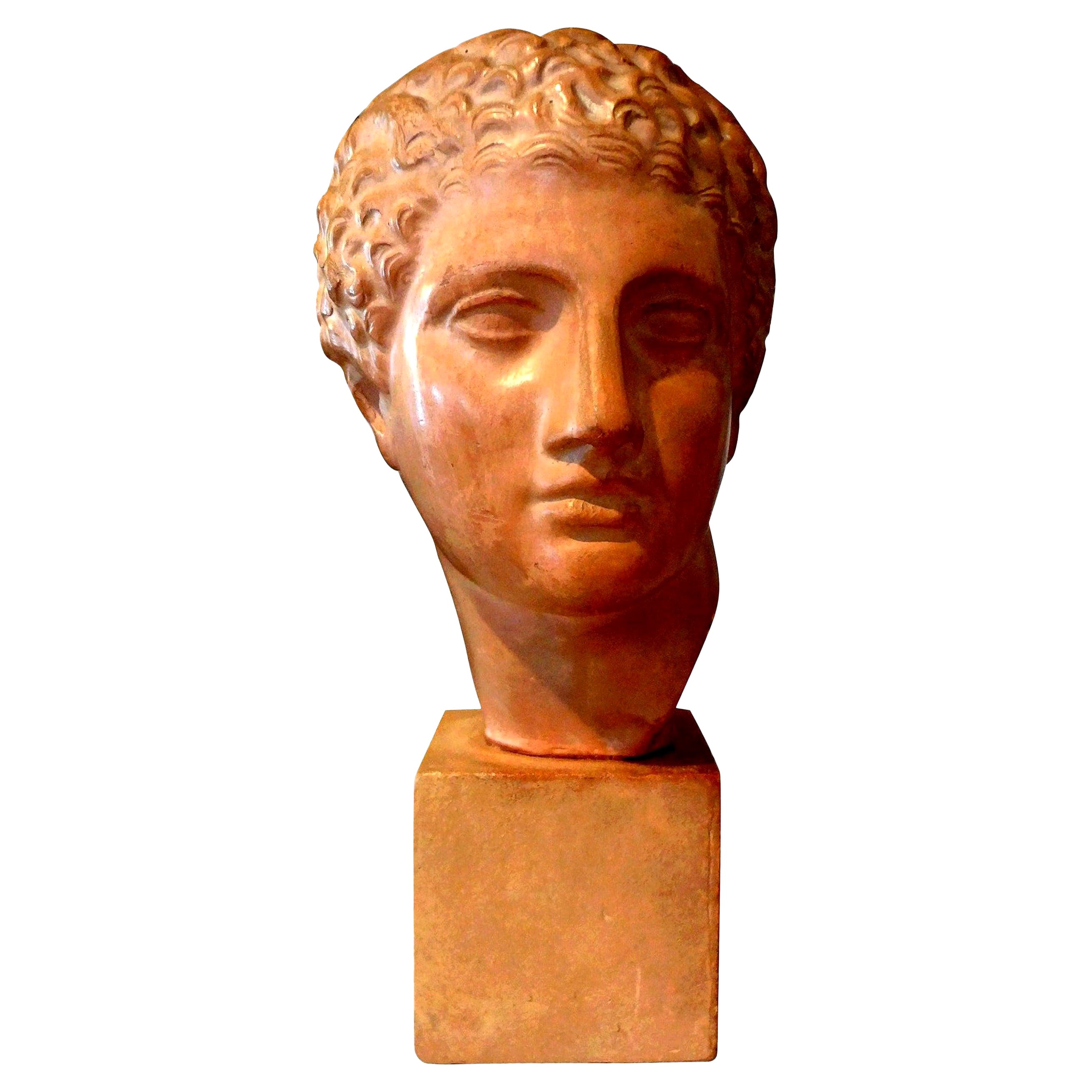 Classical Roman Busts - 65 For Sale at 1stDibs | roman busts for sale ...